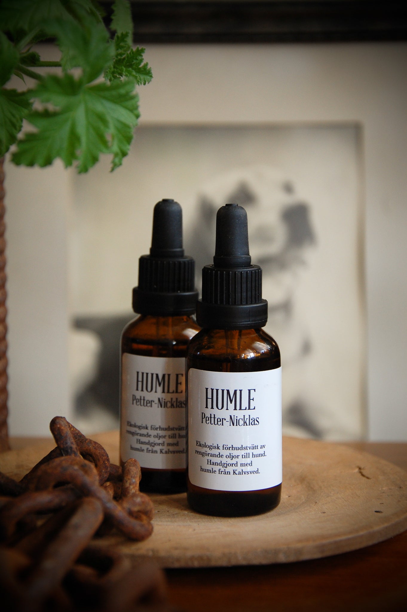 Hund - Rengöring – Humleretail